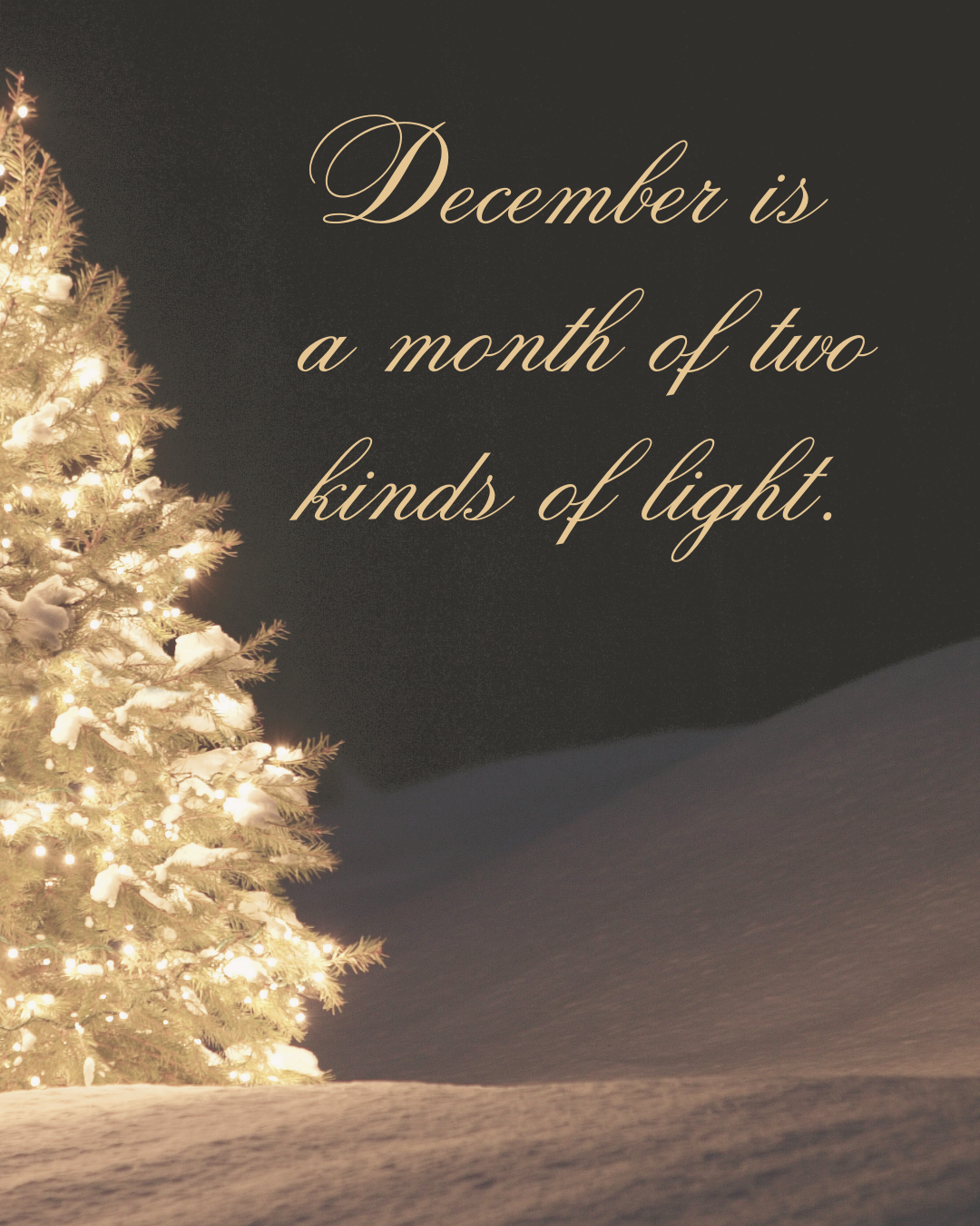 The Bright Lights of the Season & The Soft Light Within: A December Reflection