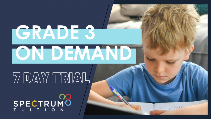 Grade 3 On Demand - 7 Day Trial