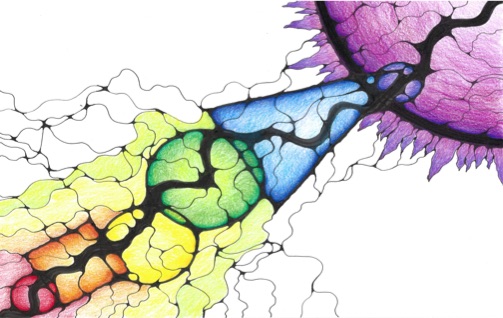 Blog 063025: Certification in NeuroGraphica