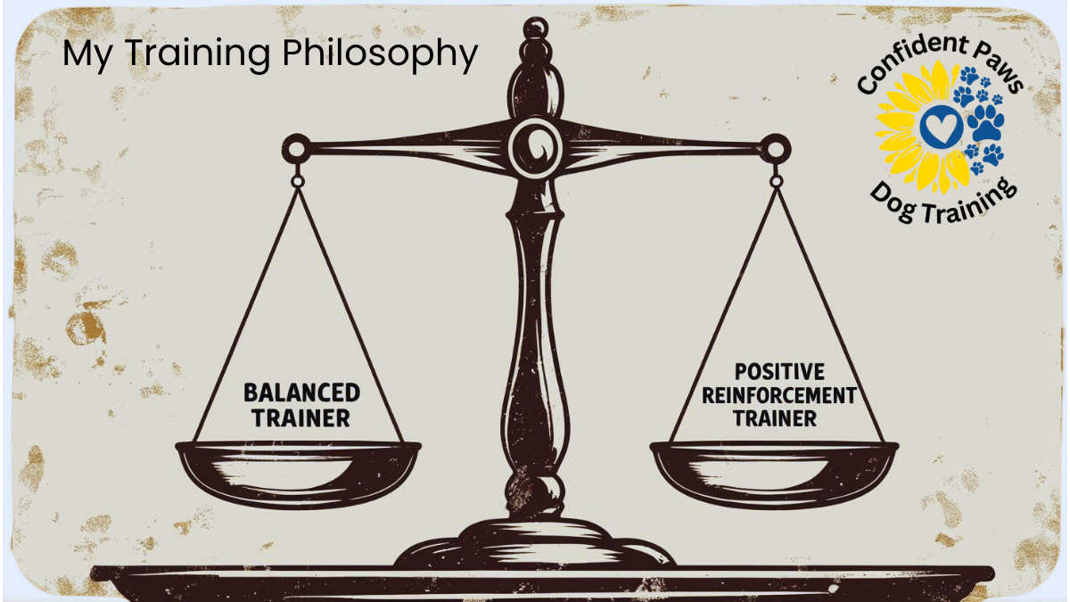 Balanced Training vs Positive Reinforcement Based Dog Training