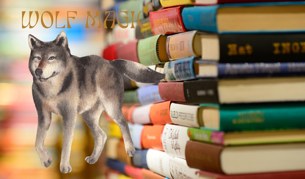 Wolf Magic Called Me In The Library