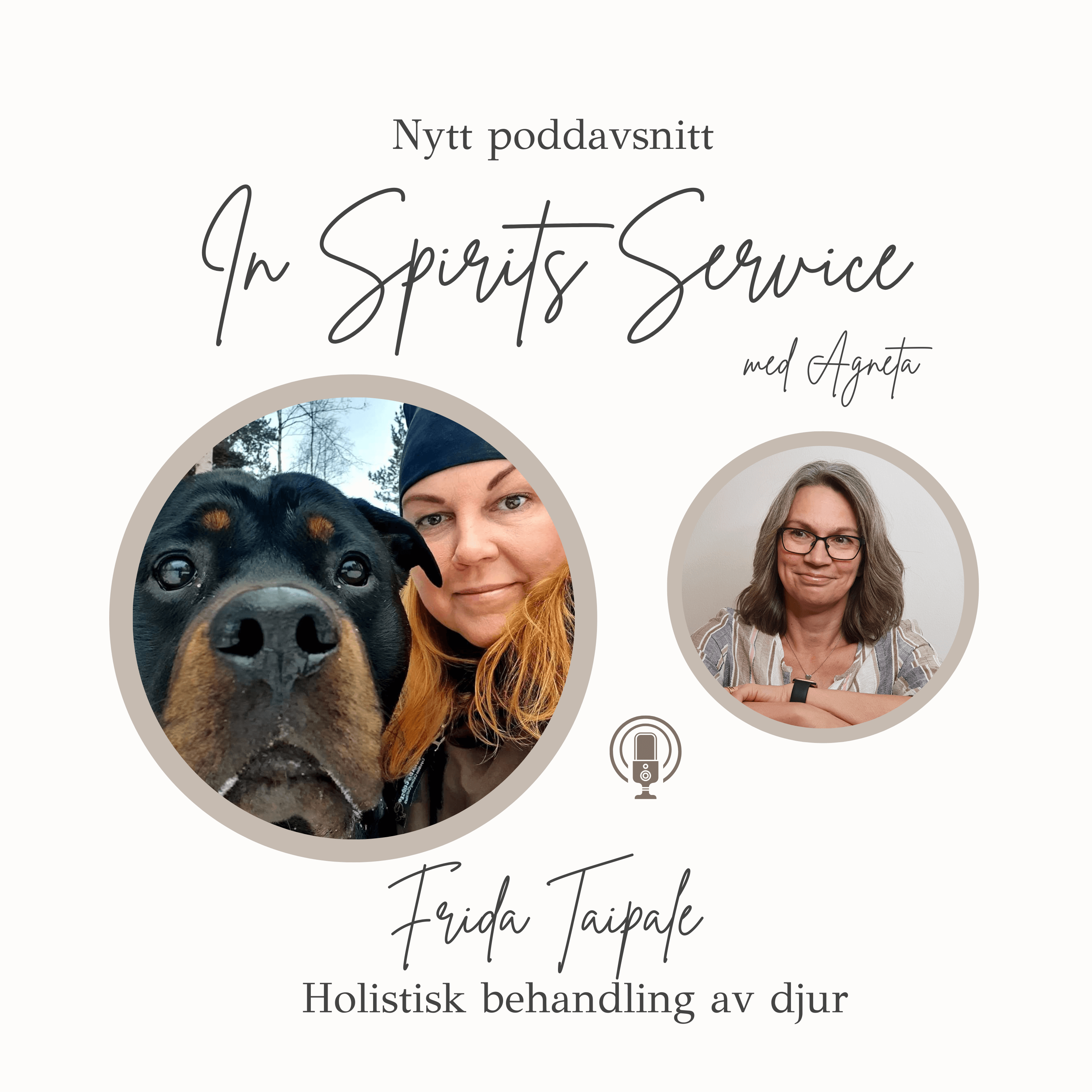 Möt din hund på ett djupare sätt med Frida Taipale