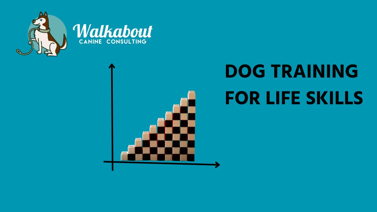 Teaching your Dog Life skills