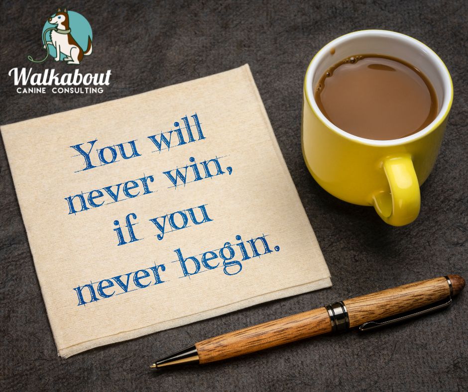 If you dont begin You wont Win