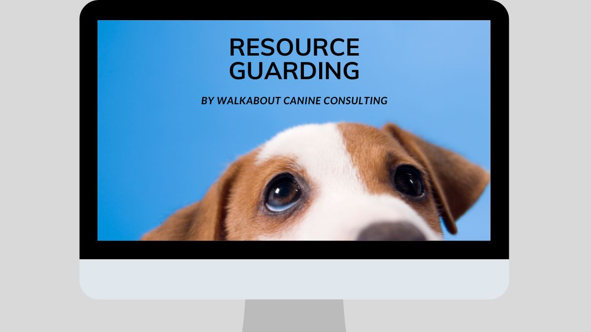 What should we know about Resource Guarding in Dogs