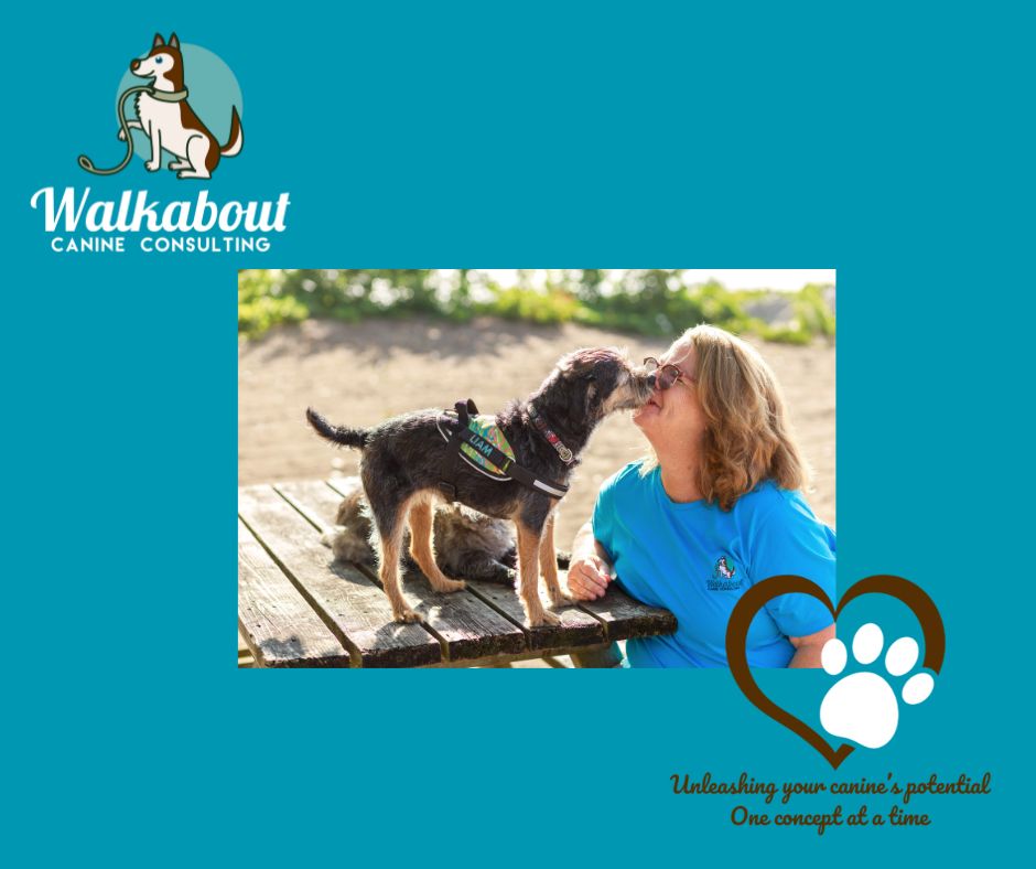 Obedience Training for Dogs