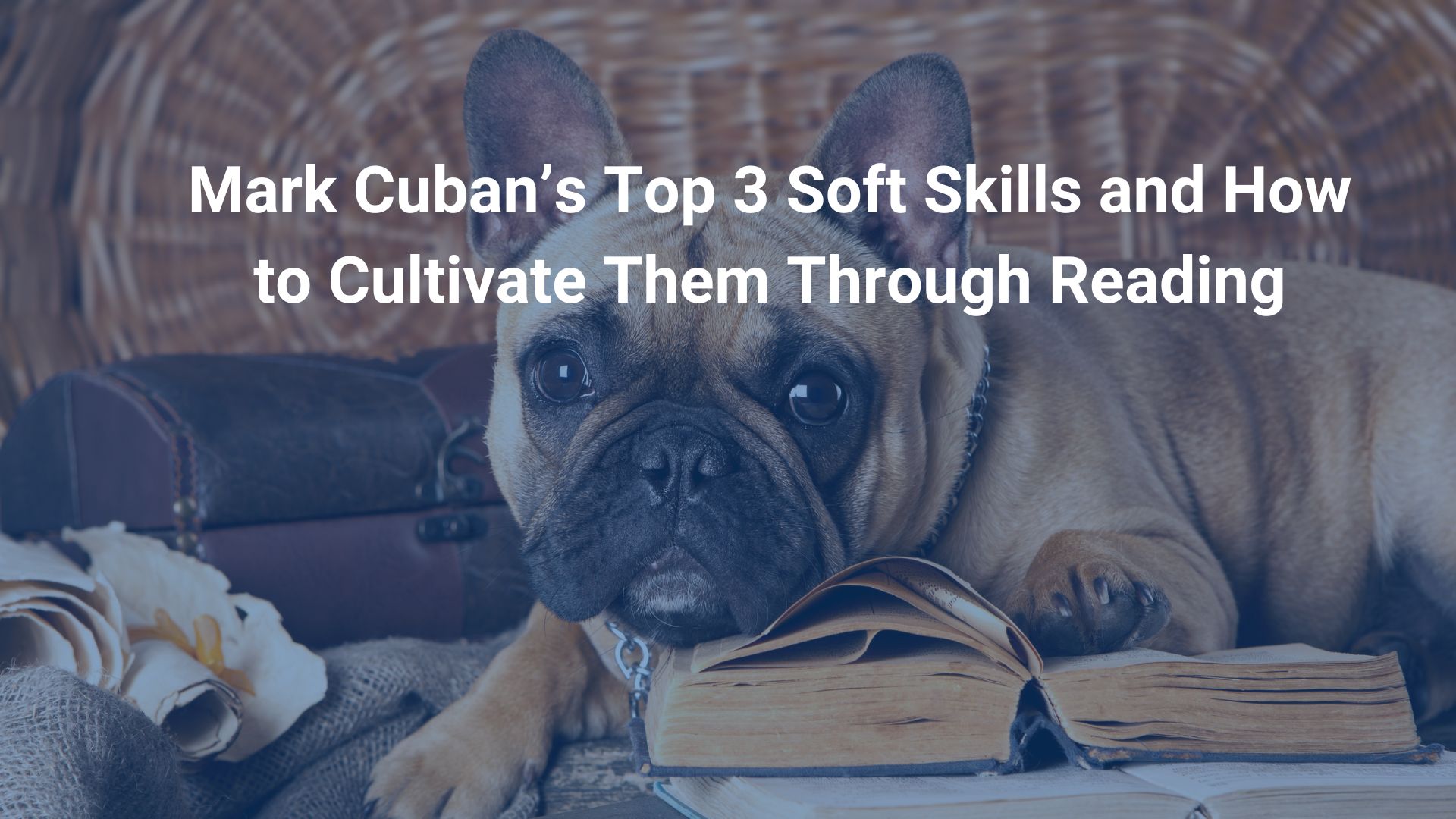 Mark Cuban’s Top 3 Soft Skills and How to Cultivate Them Through Reading