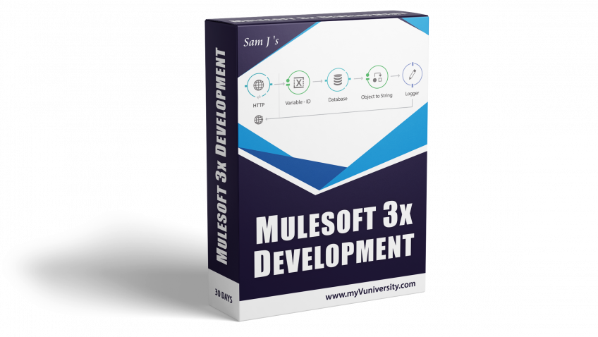 Mulesoft 3x Development