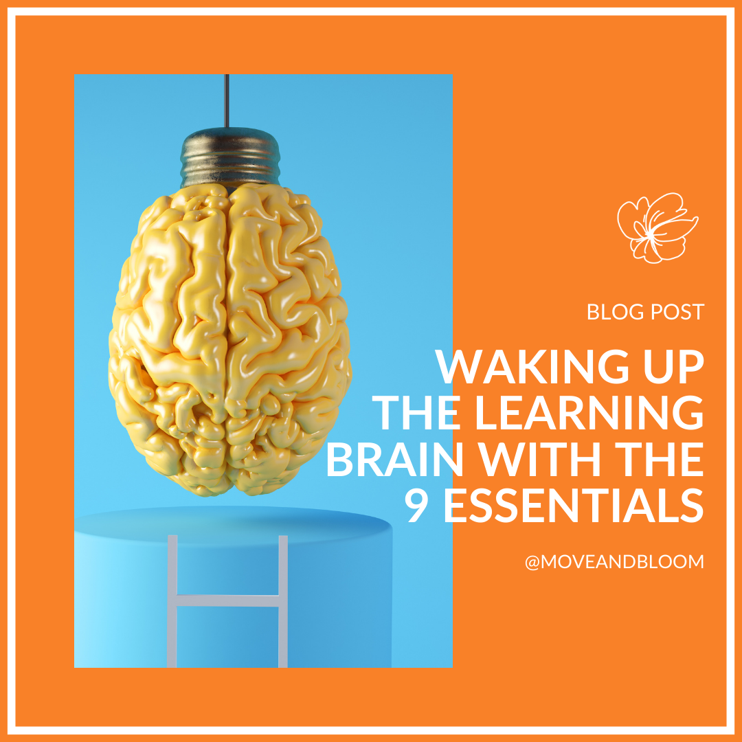 Waking up Your Learning Brain - The Secrets of Somatic Movement Education