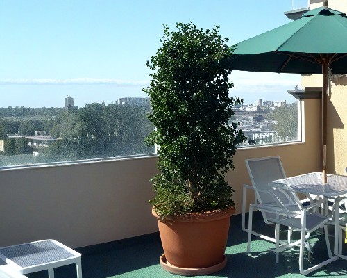 Luxury Timeshare Rentals for Less | TimeshareRentals.com