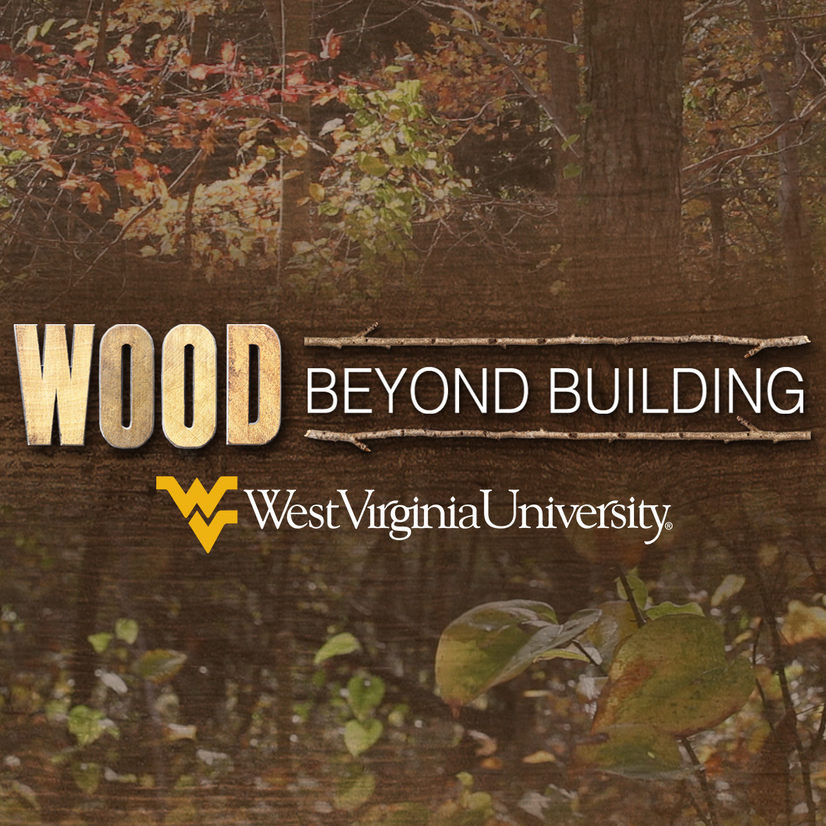 Wood Science: Beyond Building | My Mooc