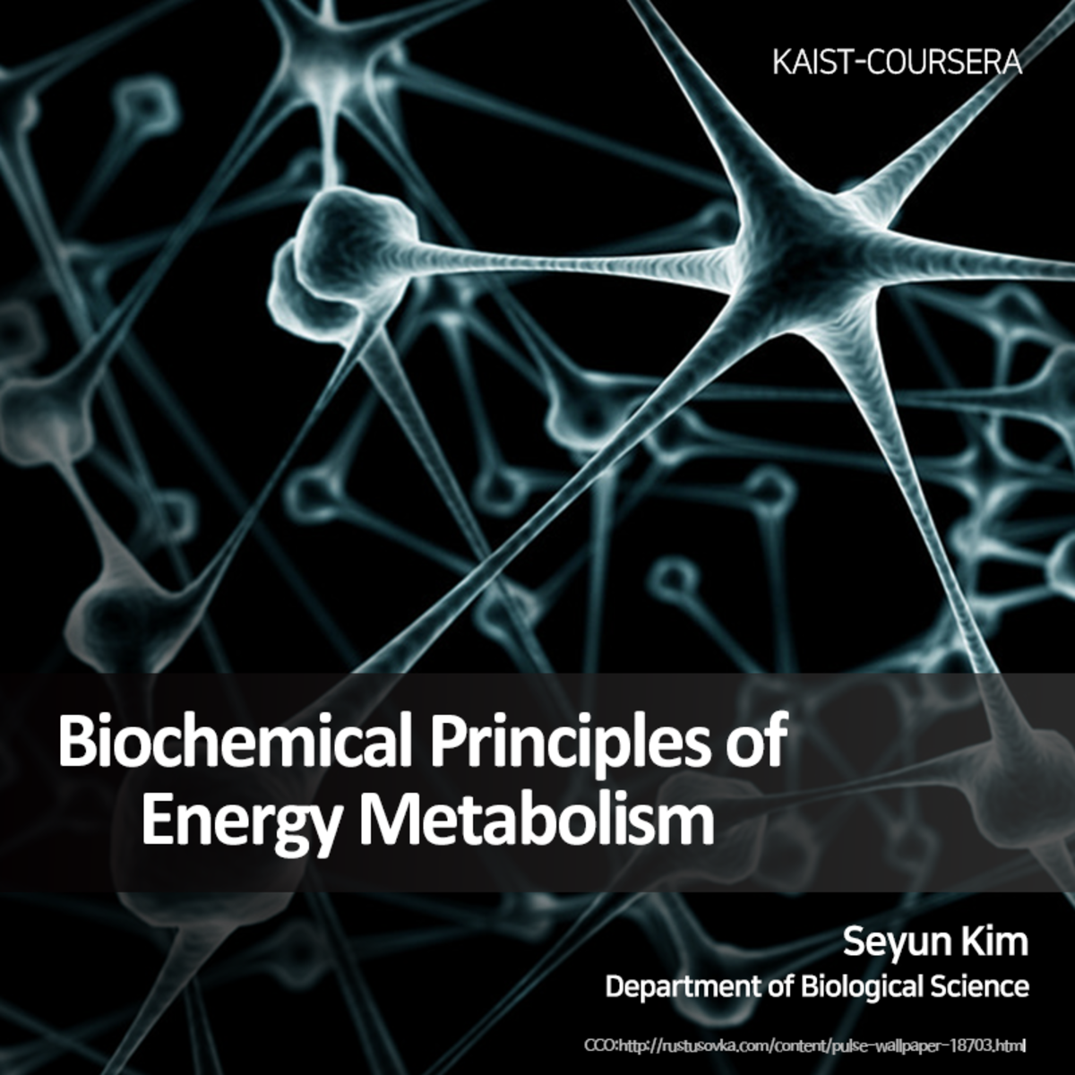 Biochemical Principles of Energy Metabolism | My Mooc