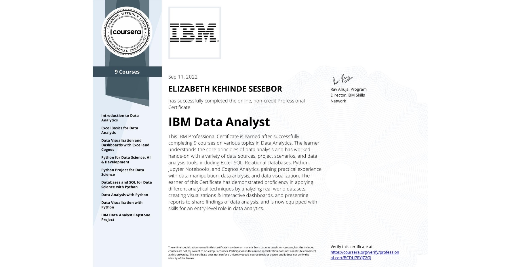 Sesebor Elizabeth - Data Analyst - Remarkable Ideas Ltd | LinkedIn