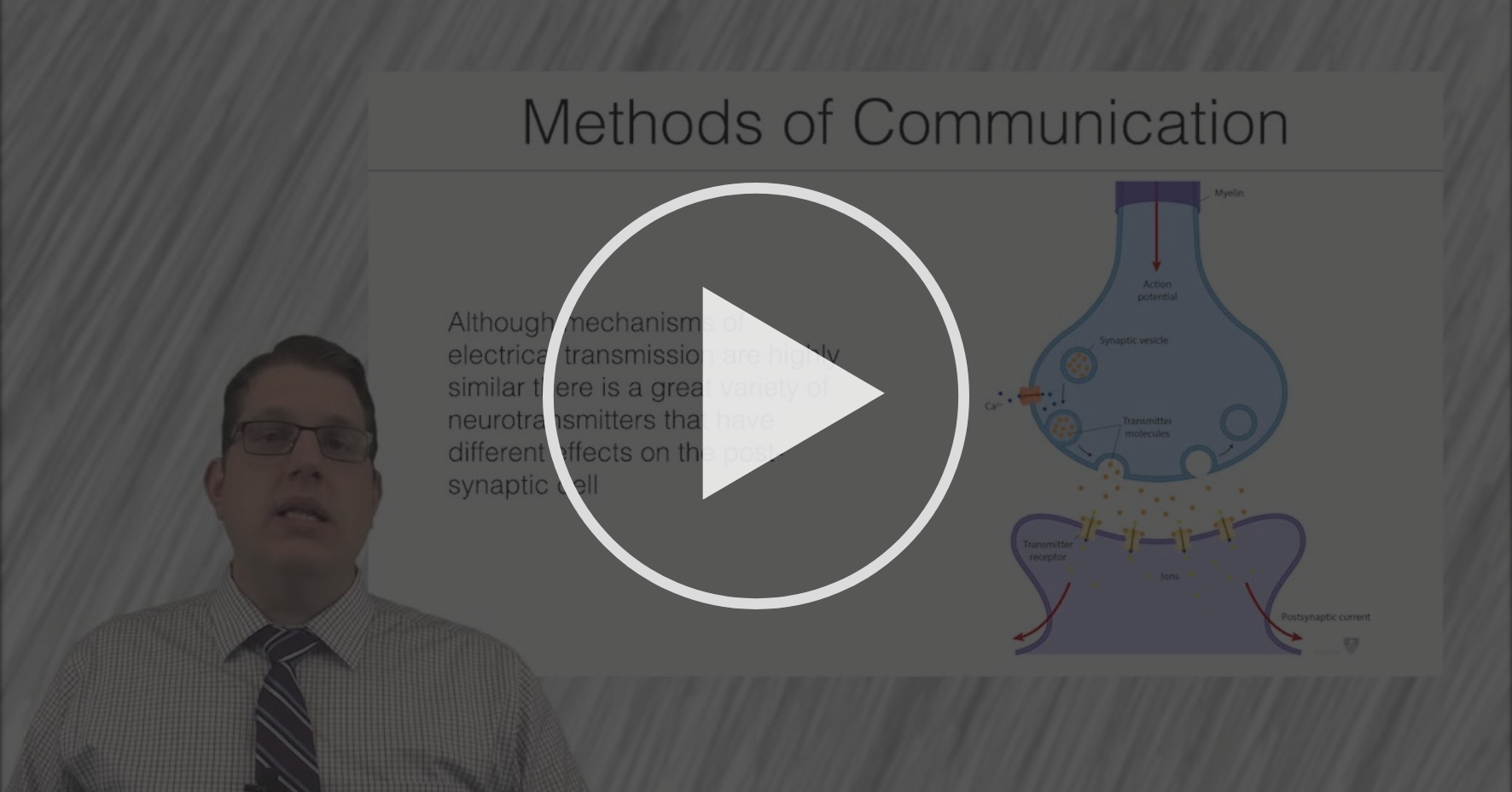 Methods of Communication in the Brain, Part 2 - Functional Neuroanatomy ...