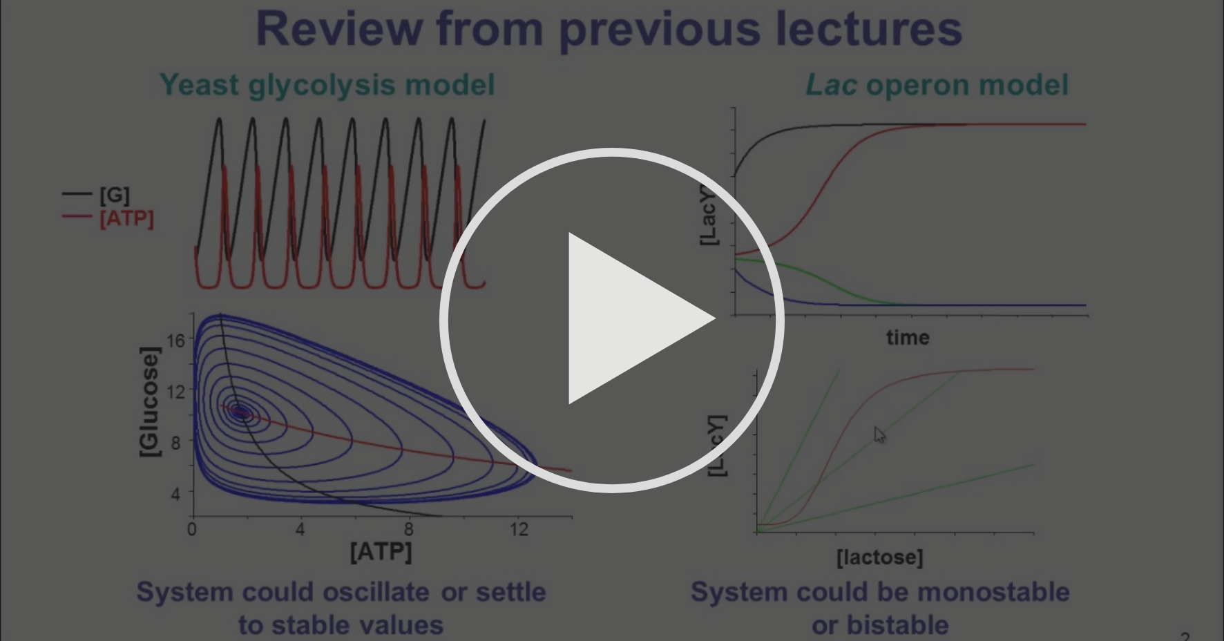 Lecture 16 Computational Modeling Of The Cell Cycle Part 1 Computational Modeling Of The
