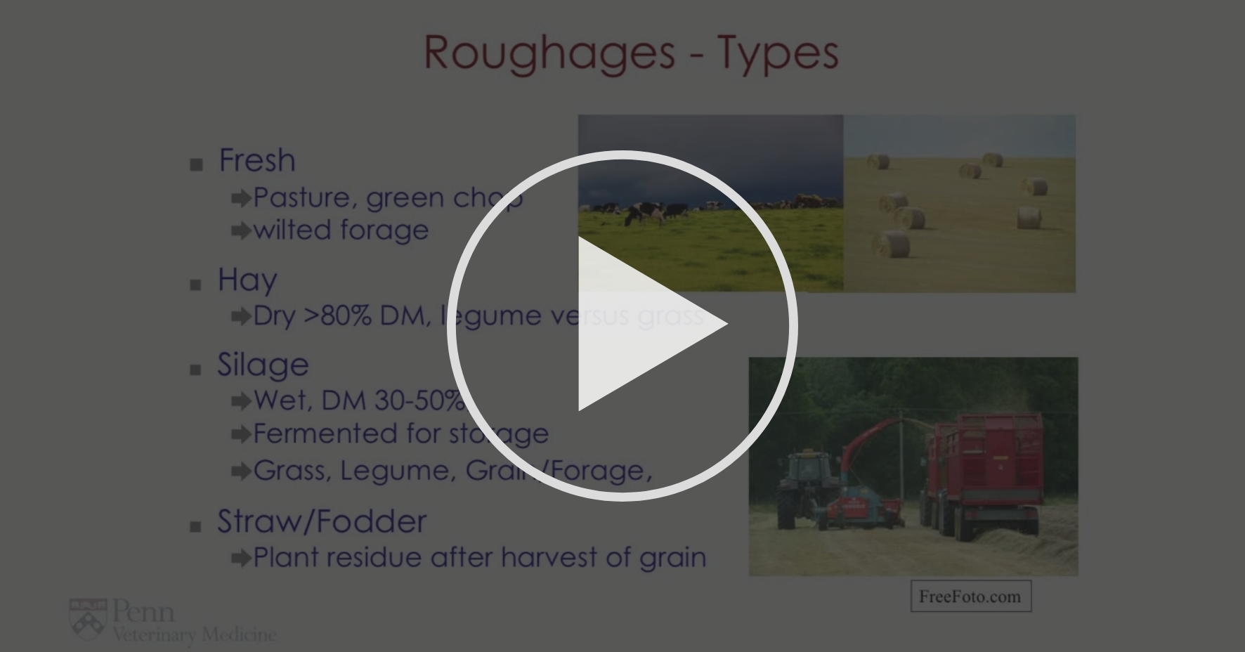 What are Roughages? - Animal Feeds and the Environment | Coursera