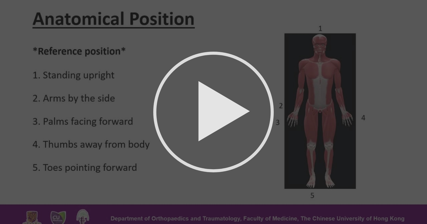 Introduction To Basic Anatomy - Introduction to Basic Anatomy | Coursera