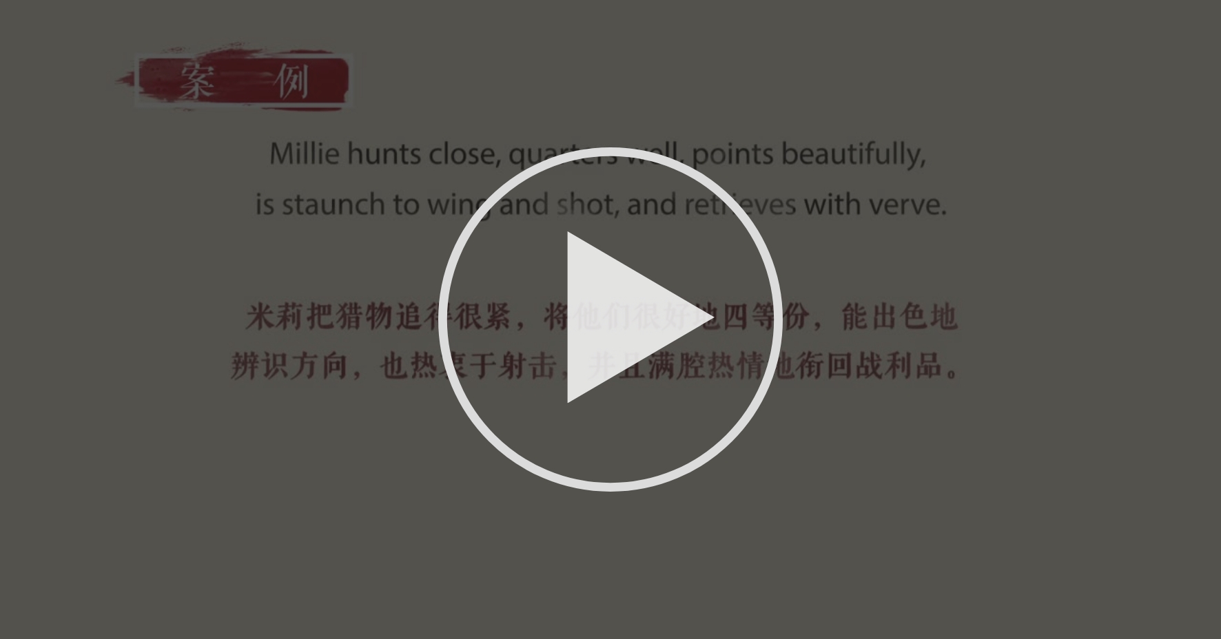 What Is Good Translation - A Brief Introduction to Translation | Coursera