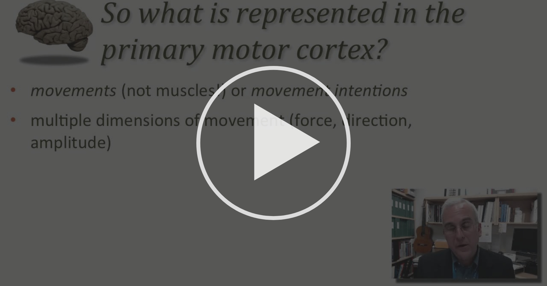 Primary Motor Cortex, part 3 - Movement and Motor Control: Lower and ...