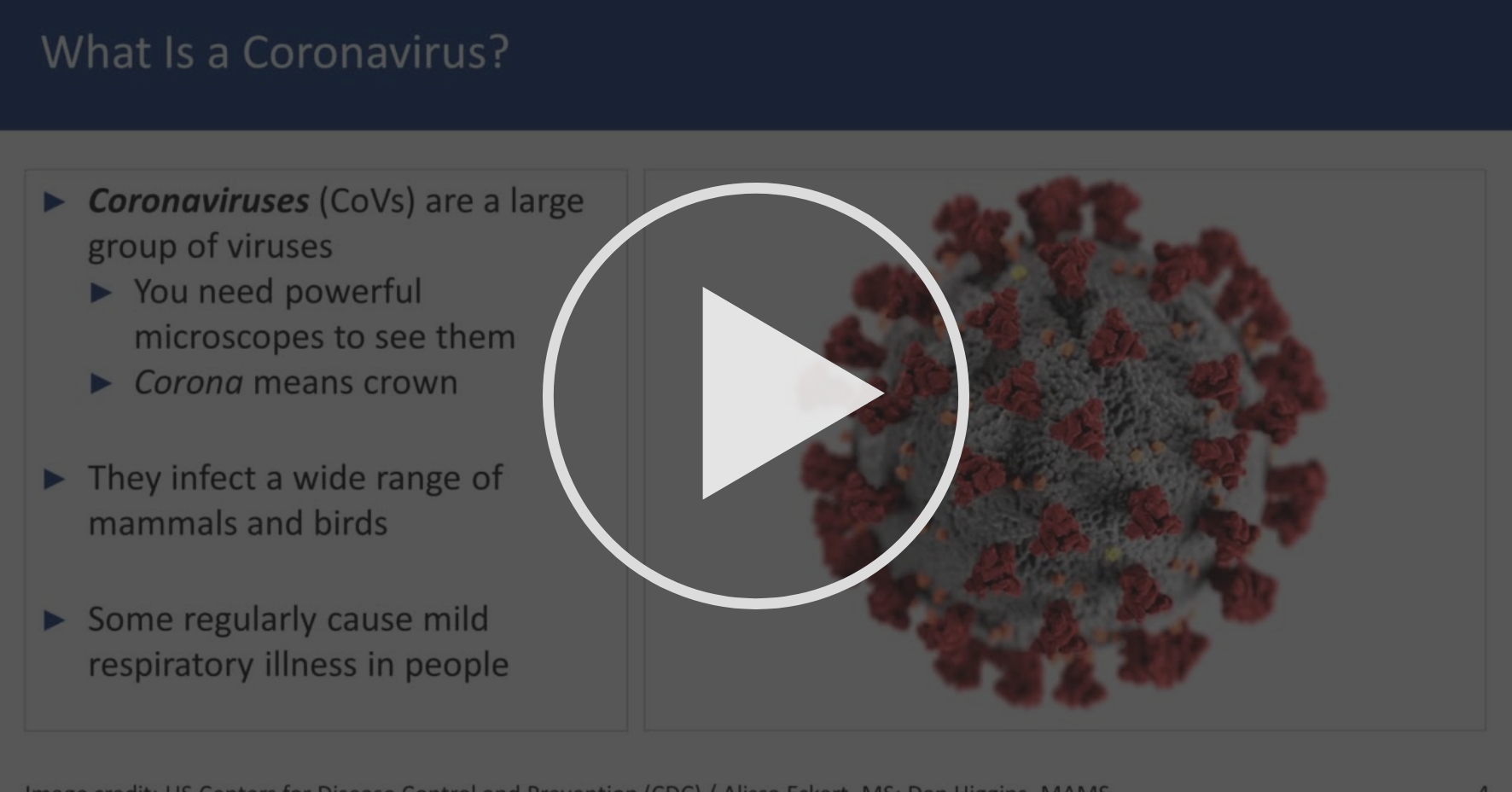 COVID-19 Background, Transmission and Infection - COVID-19 Background ...
