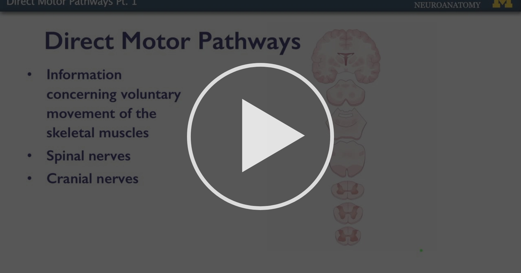 Direct Motor Pathways Pt. 1 - Motor Systems | Coursera