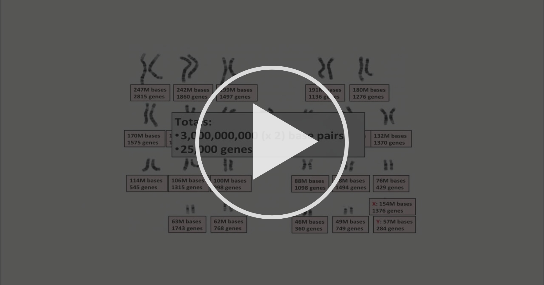 Genetics Definitions, Part II & Types of Genetic Variants - UNIT 1 ...