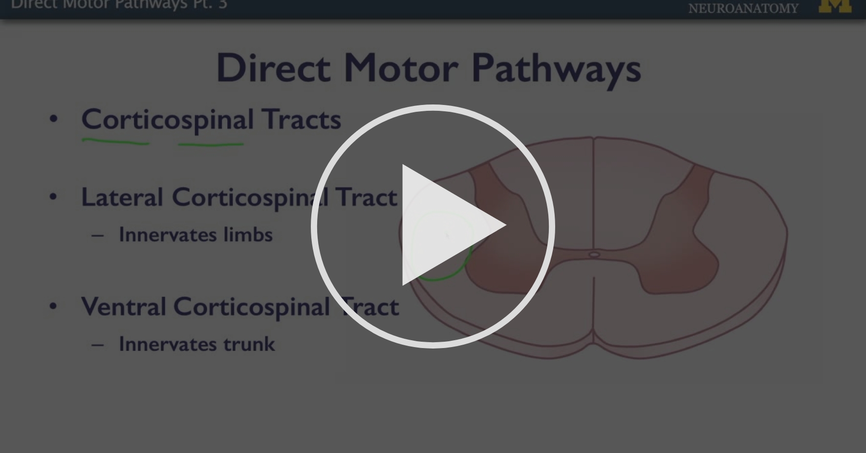 Direct Motor Pathways Pt. 3 - Motor Systems | Coursera
