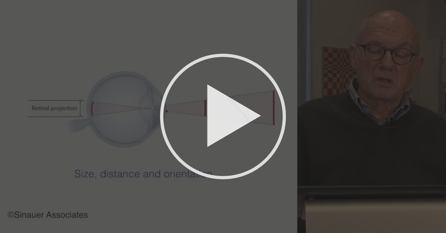 Vision as Way of Contending with the Inverse Problem - Summing Up ...