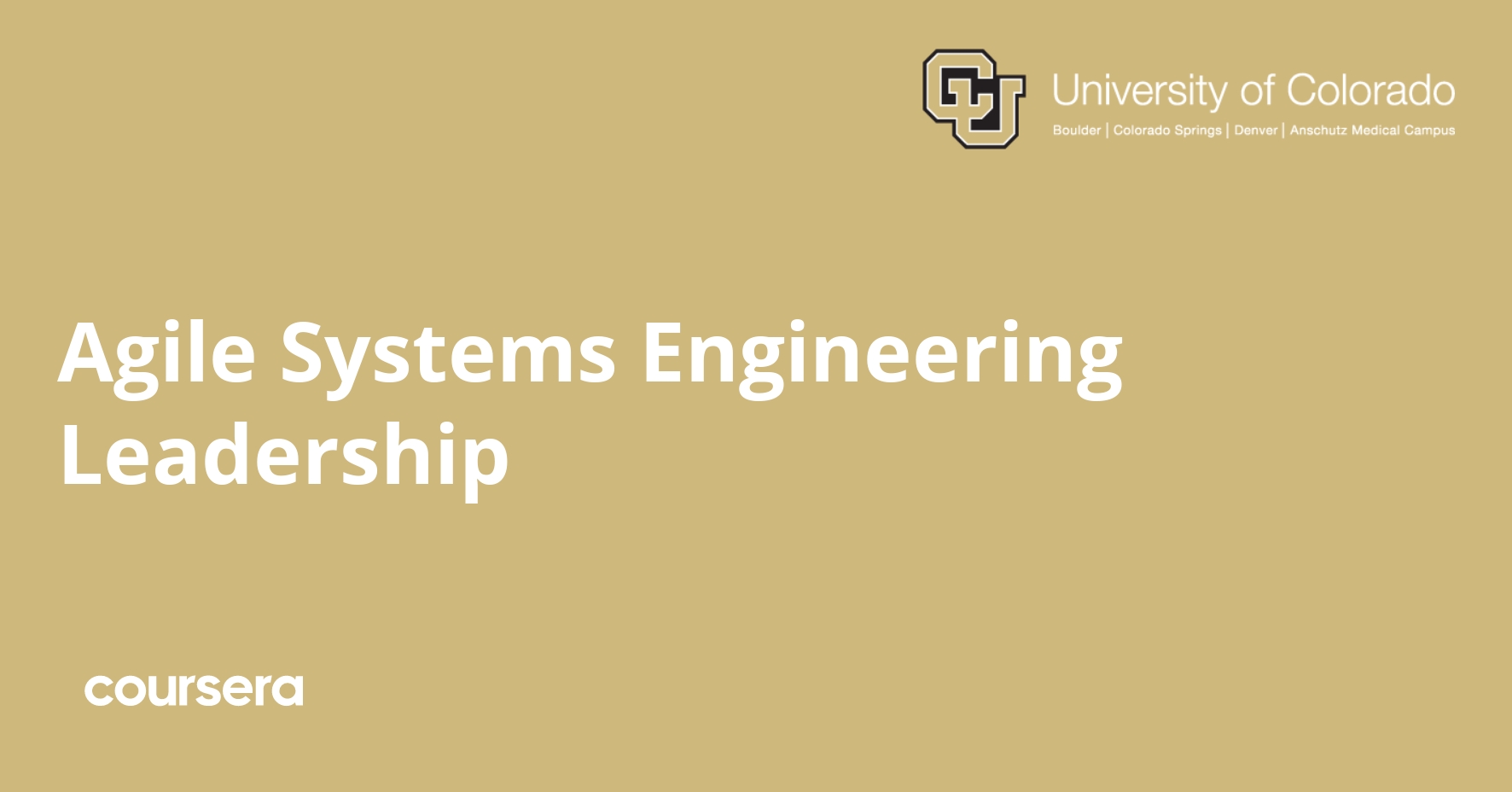 Agile Systems Engineering Leadership | Coursera