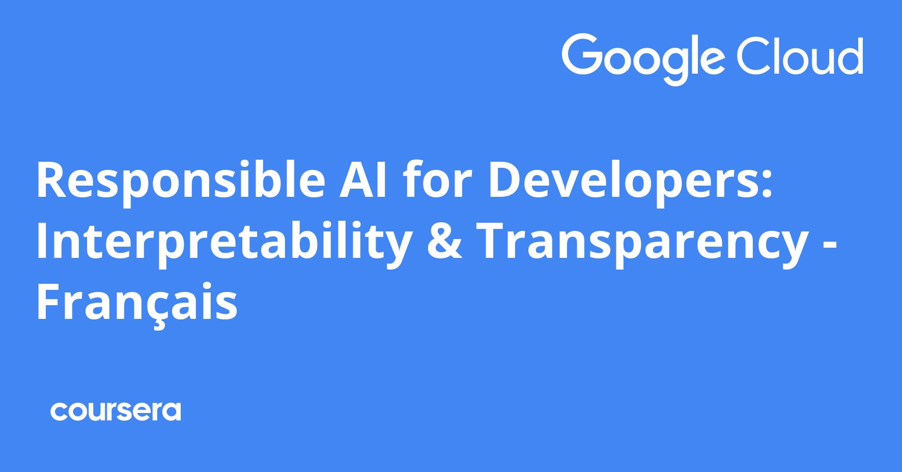 Responsible AI for Developers: Interpretability & Transparency ...