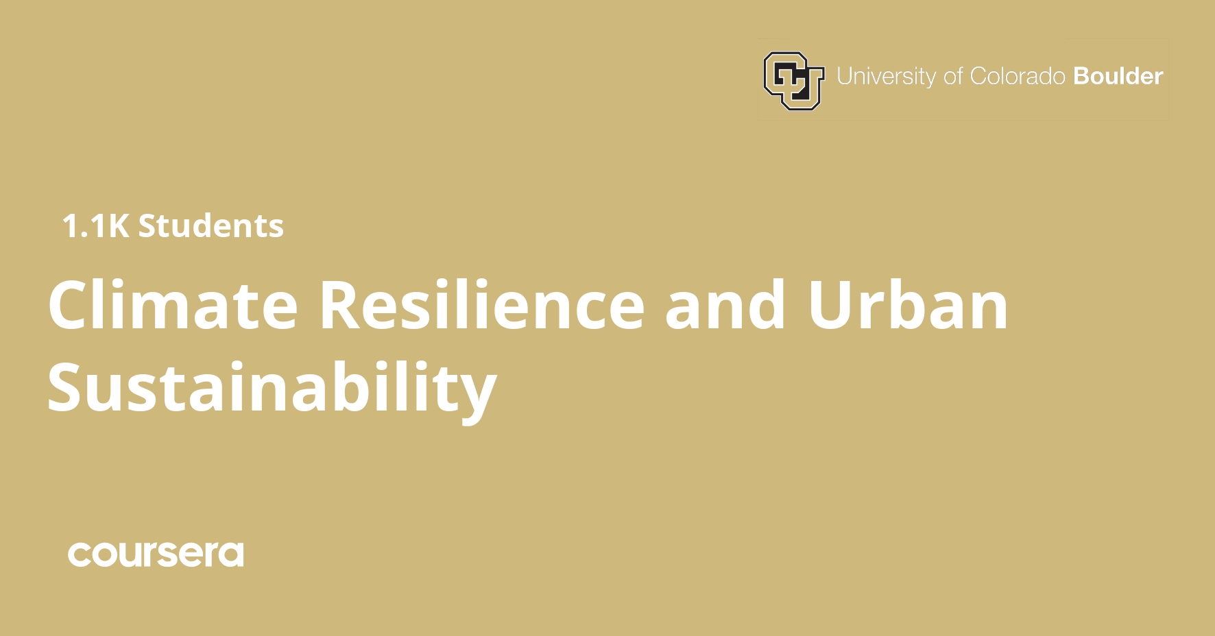 Climate Resilience and Urban Sustainability | Coursera