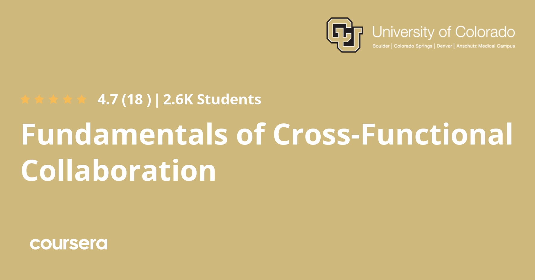 Fundamentals of Cross-Functional Collaboration | Coursera