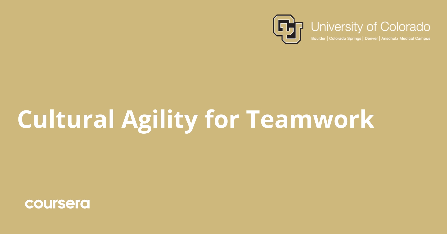 Cultural Agility for Teamwork | Coursera