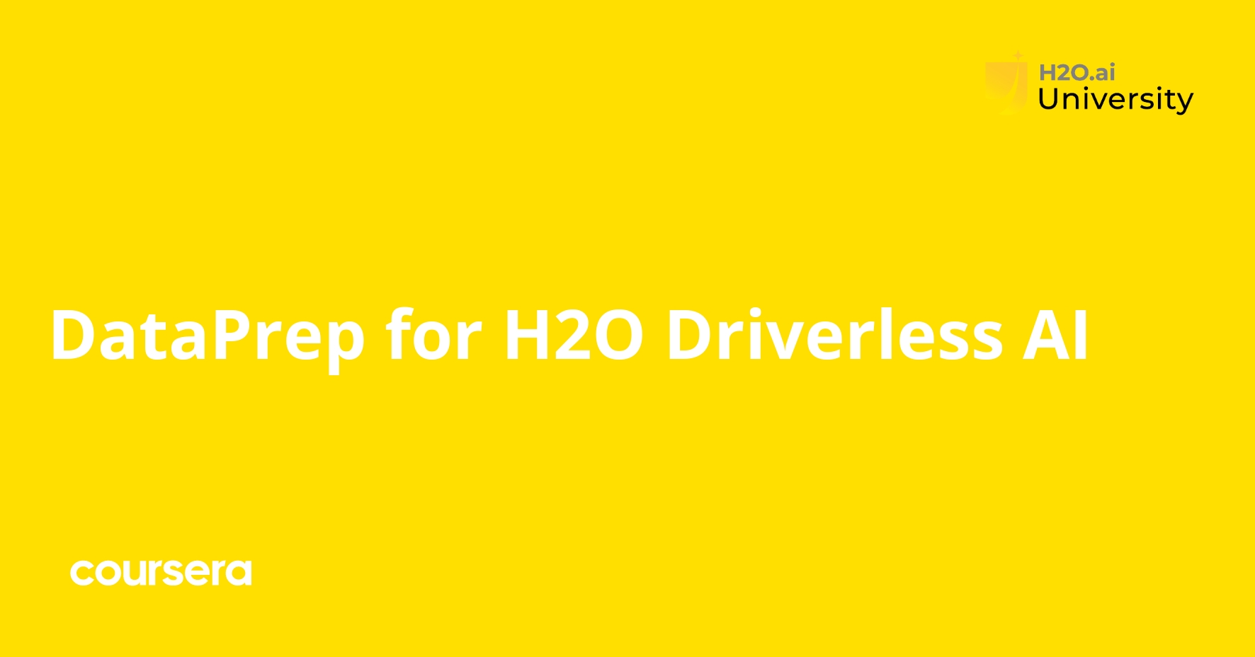 DataPrep for H2O Driverless AI | Coursera