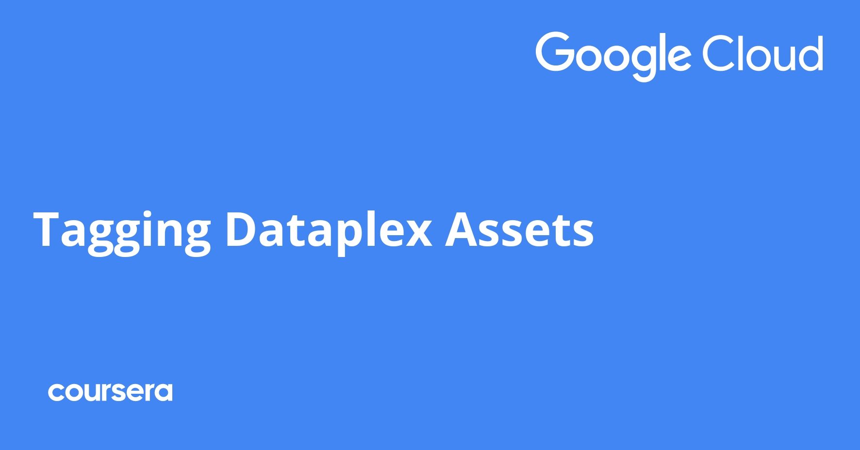 Tagging Dataplex Assets