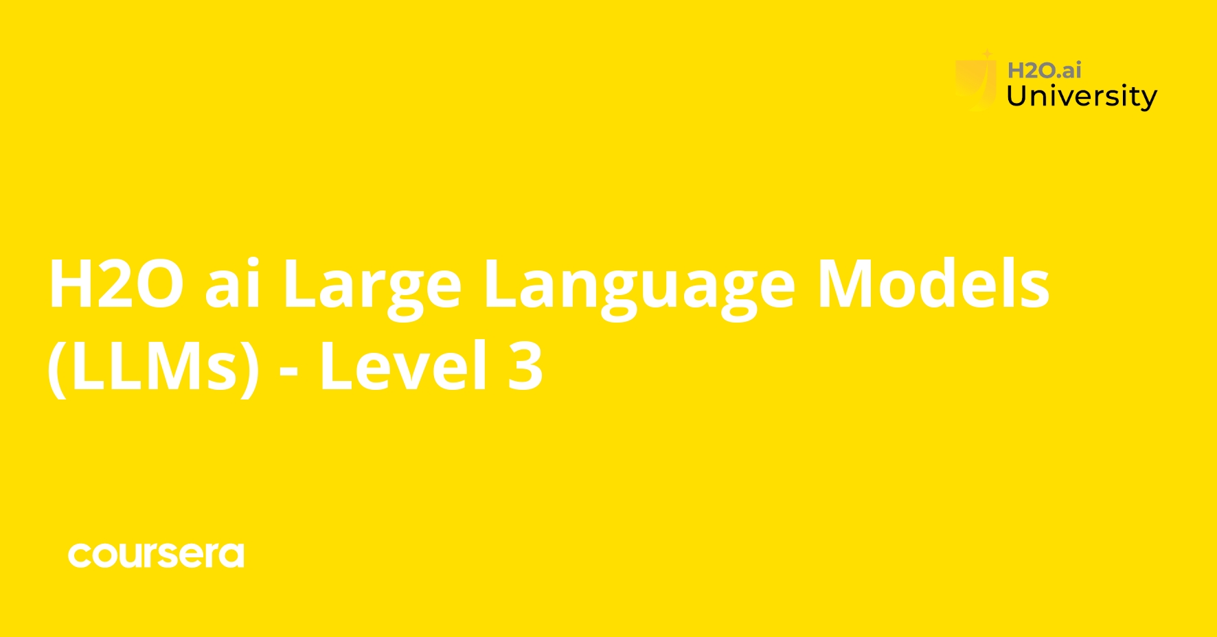 H2O ai Large Language Models (LLMs) - Level 3 | Coursera
