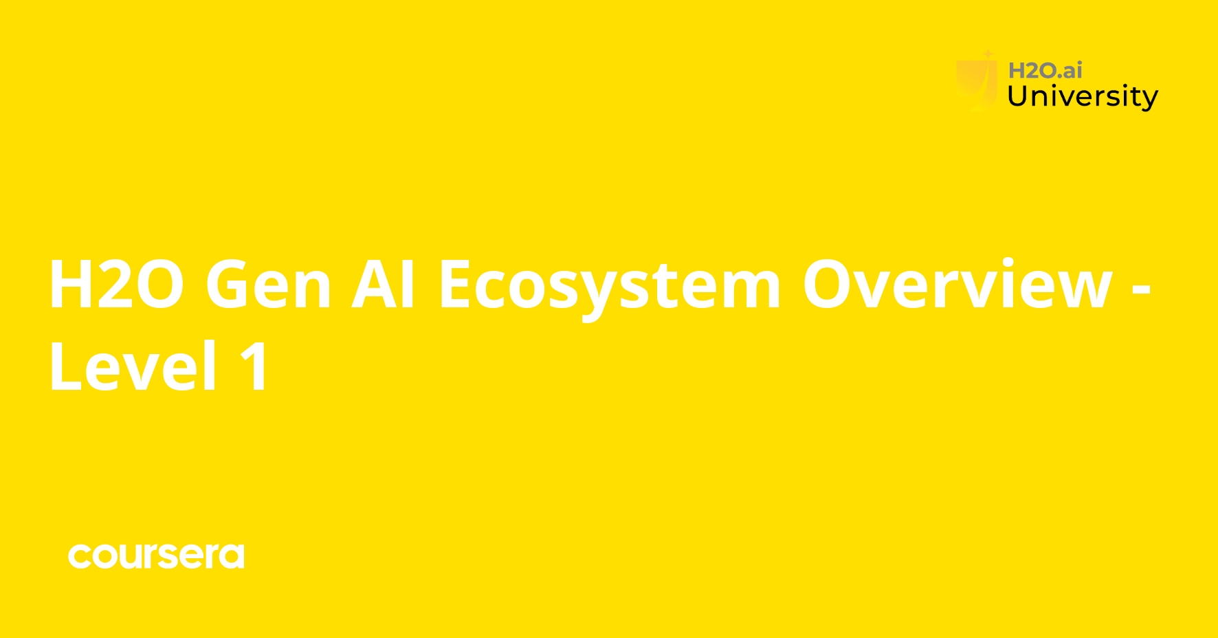 H2O Gen AI Ecosystem Overview - Level 1 | Coursera