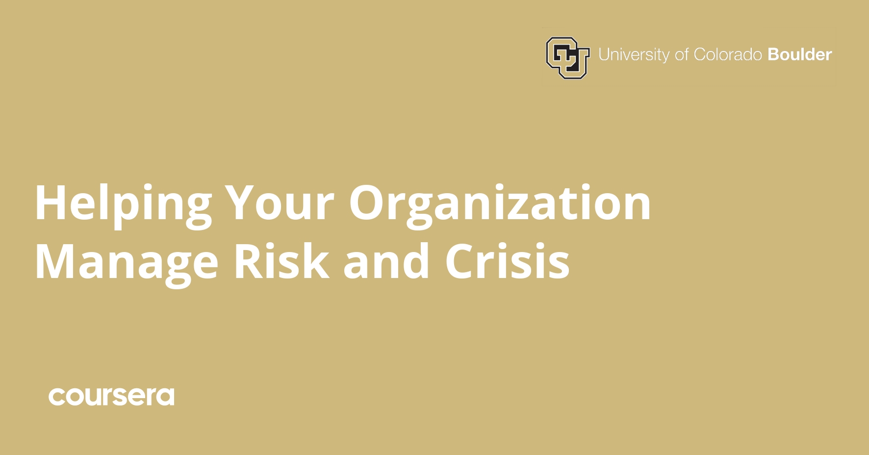 Helping Your Organization Manage Risk and Crisis | Coursera
