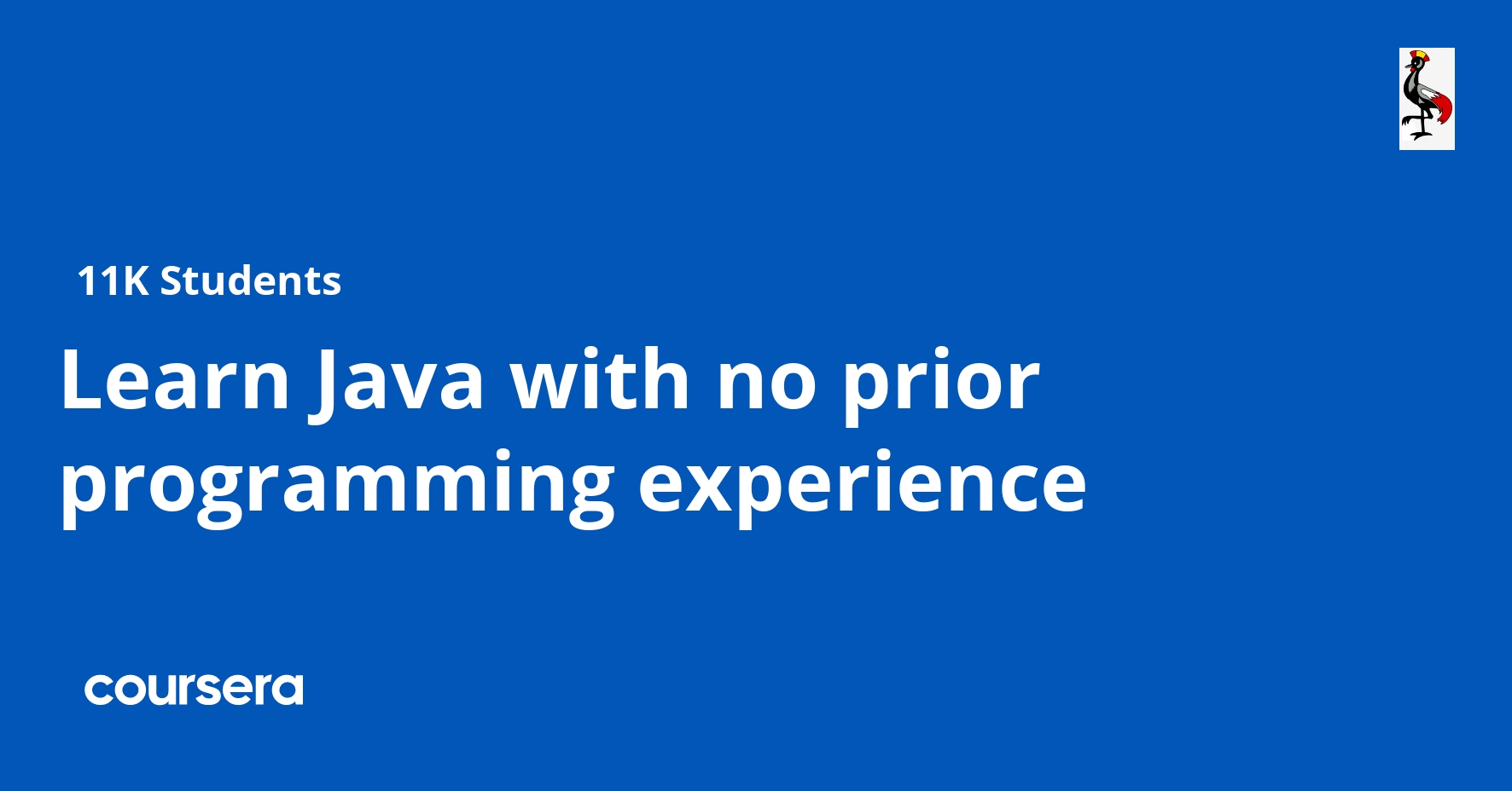 Learn Java With No Prior Programming Experience