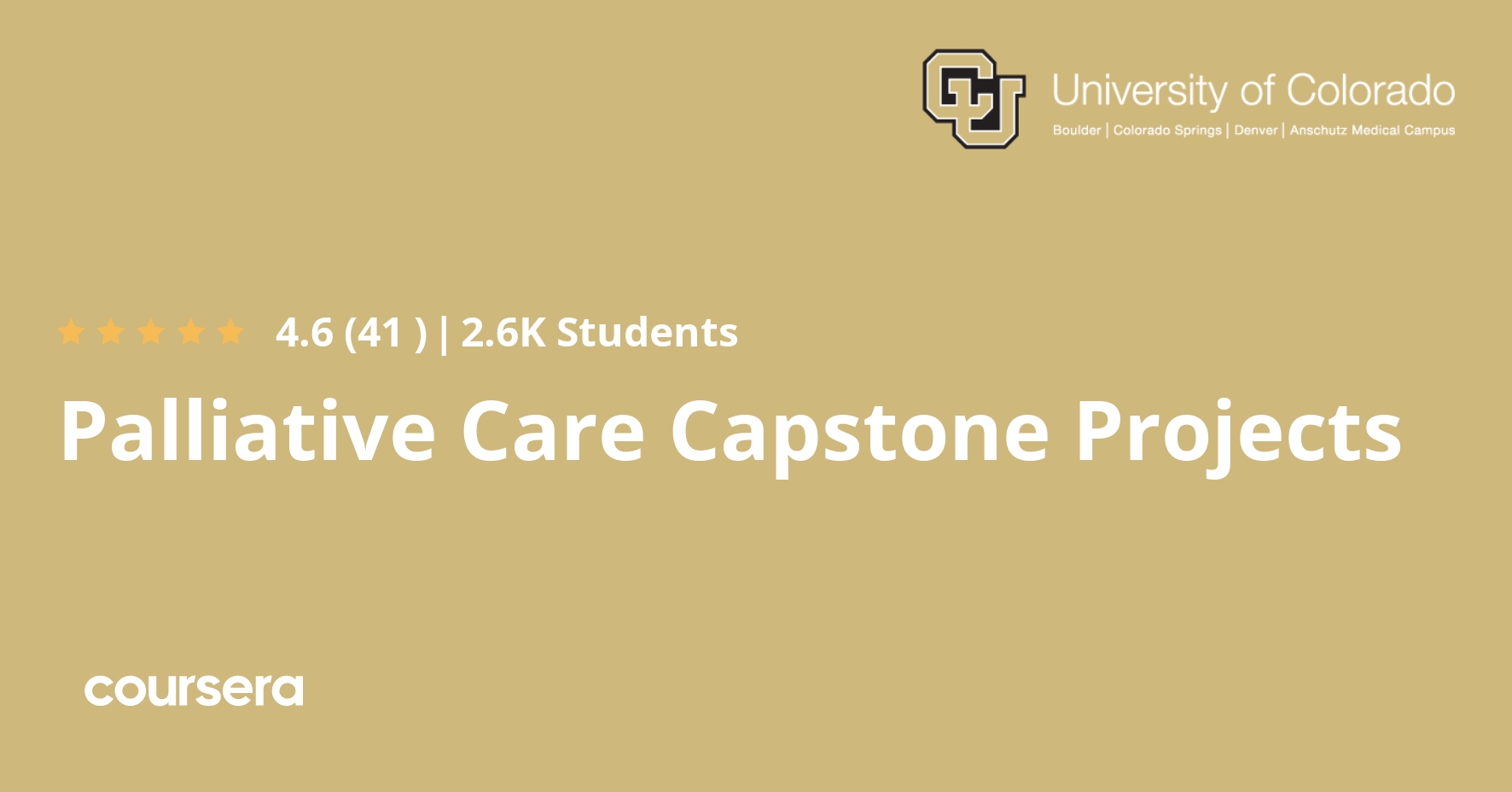 Palliative Care Capstone Projects | Coursera