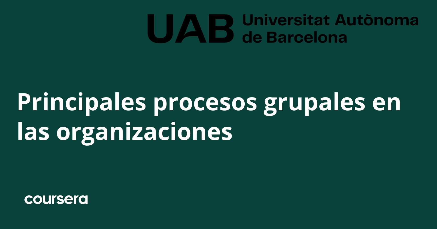 Principales procesos grupales en las organizaciones | Coursera