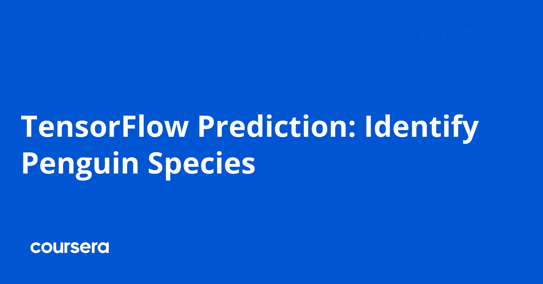 TensorFlow Prediction: Identify Penguin Species