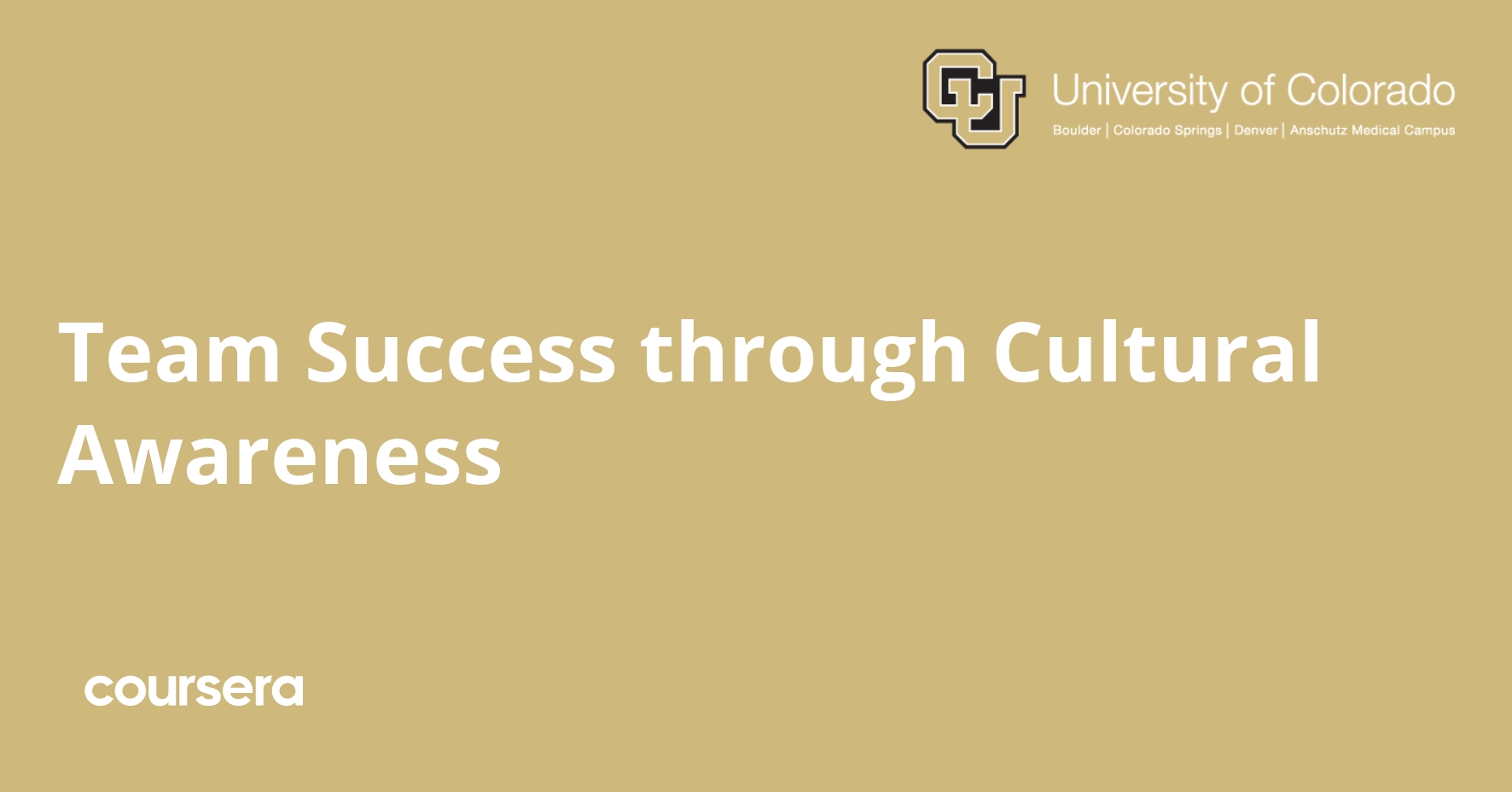 Team Success through Cultural Awareness | Coursera