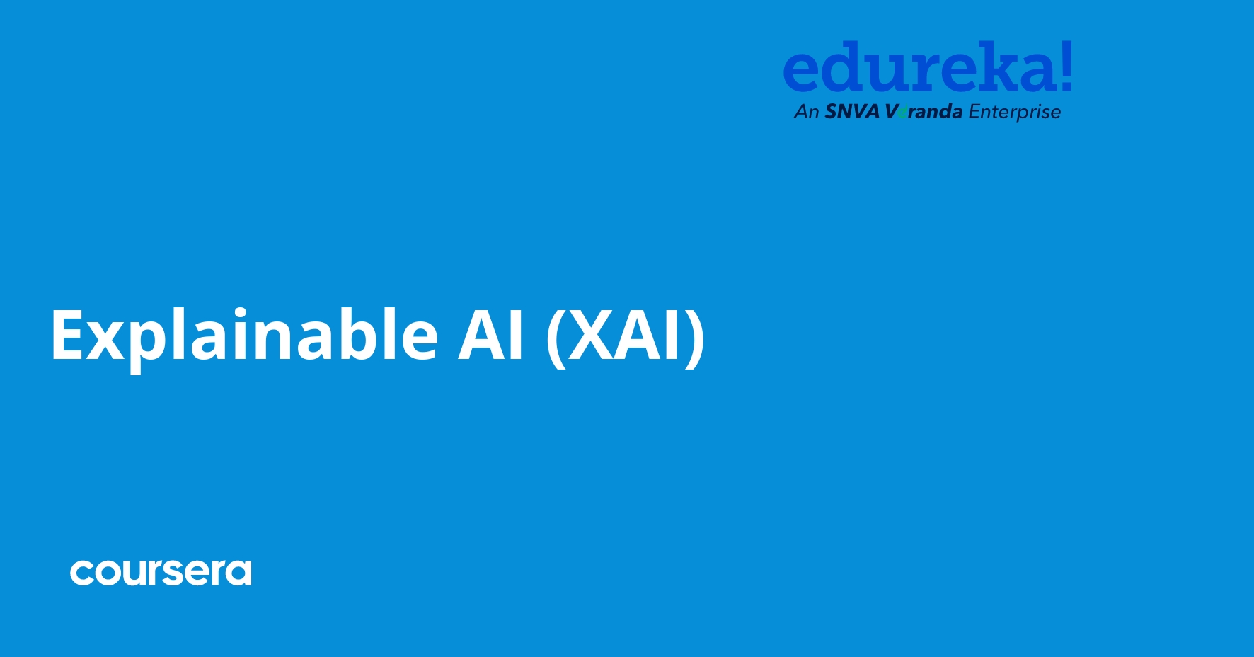 Explainable AI (XAI) | Coursera