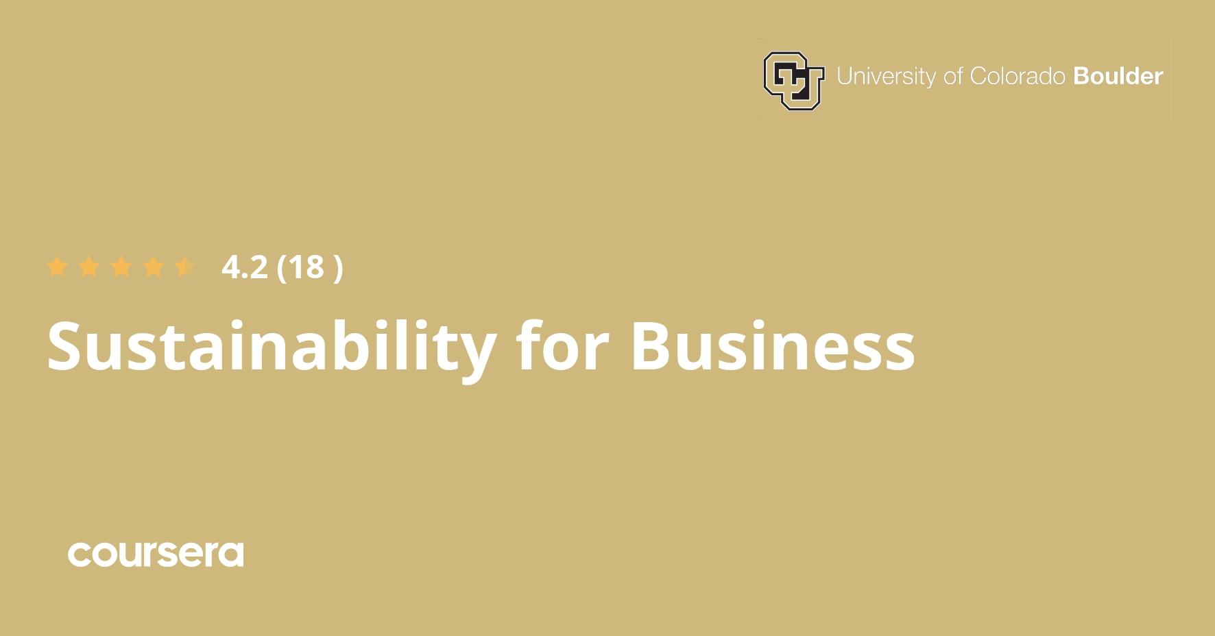 Sustainability for Business | Coursera