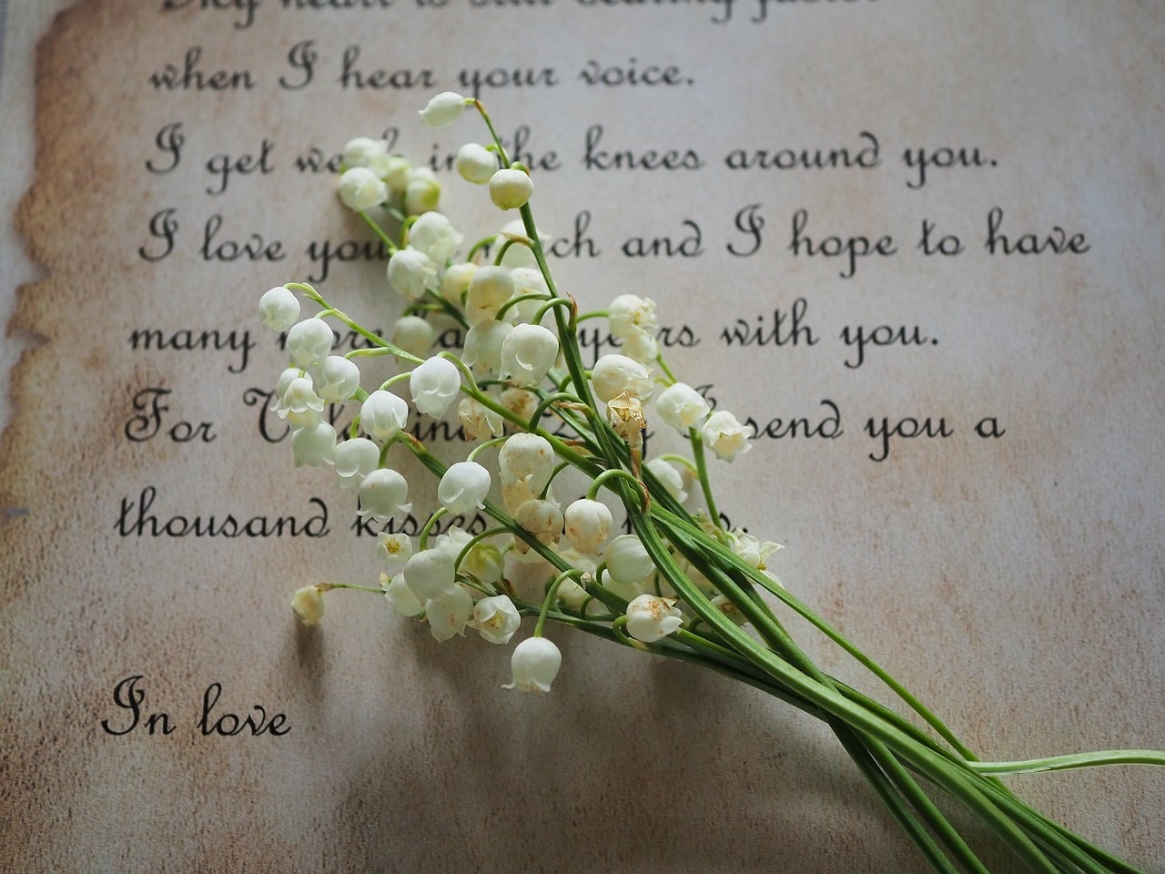 Poetry for a summer day | South Coast Senior College