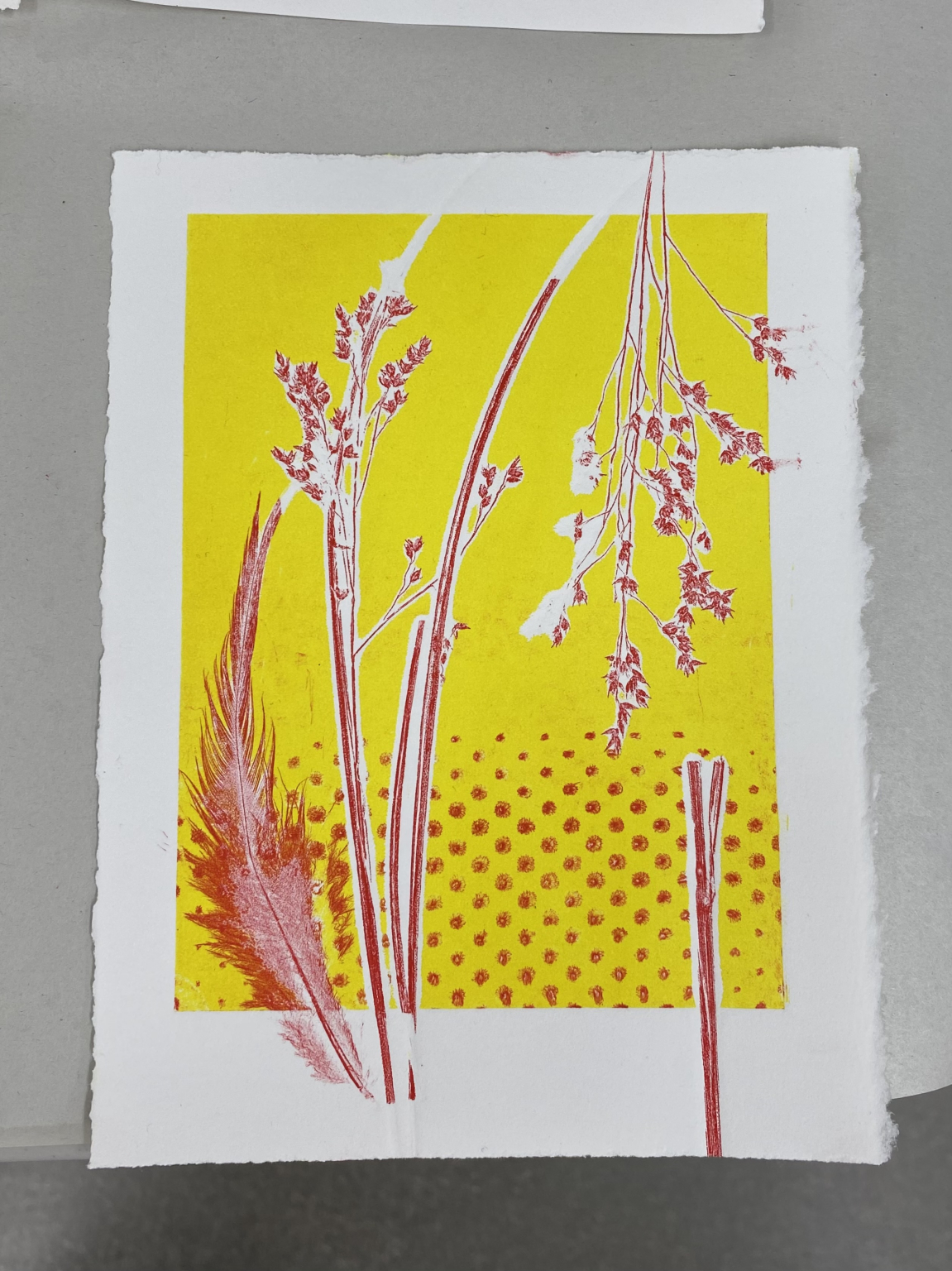 Print • Adult • Level II: Botanical Printing • Sun (Sept 28 - Oct 19 ...