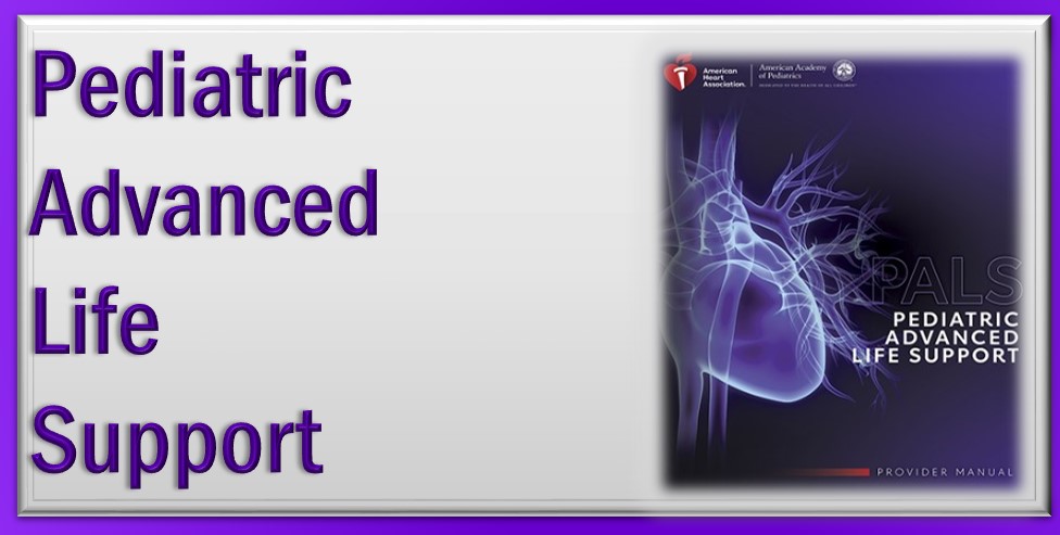 PALS- Heartcode (Blended Learning)- November 19, 2025 | Wood County ...