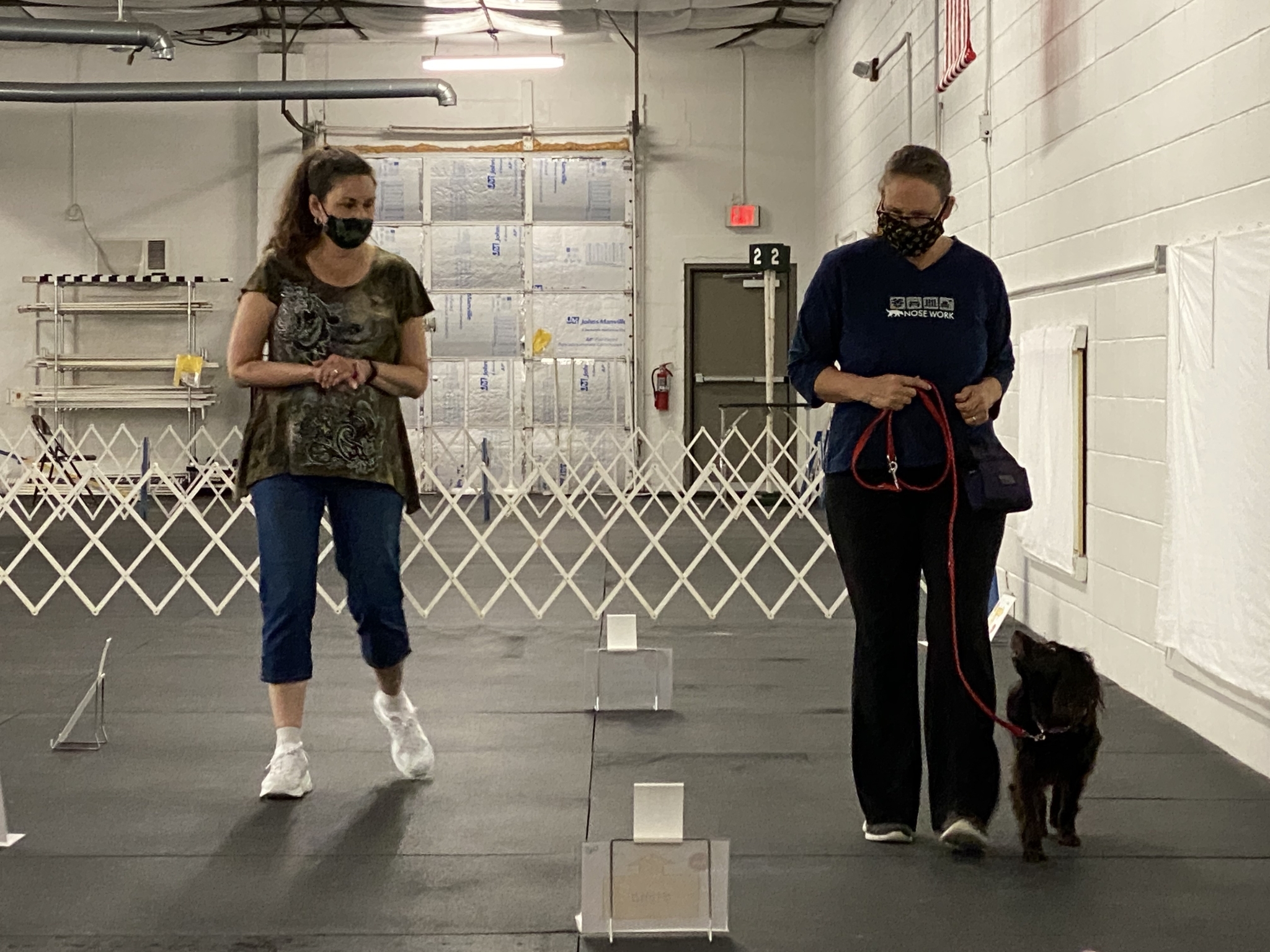 AKC Rally - Getting Ready for AKC Rally Competition - Adv/Int/Exc (SP ...