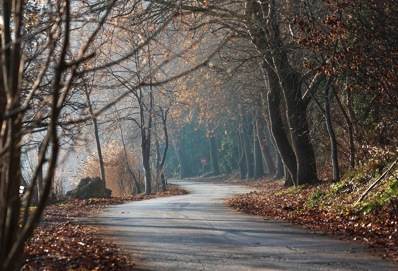 Painting with Bob Ross AKA Moriah | 111 Main Art School @ Driftwood and ...